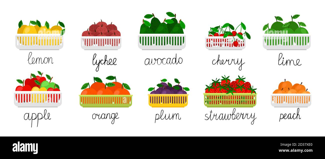 Fruits in containers vector collection. Fruits and berries illustration ...