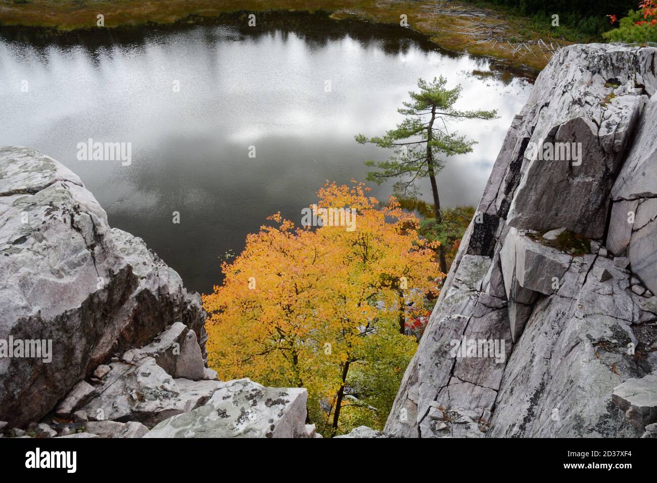 Rocky quartzite cliffs above autumn tree colours and a lake in the La ...