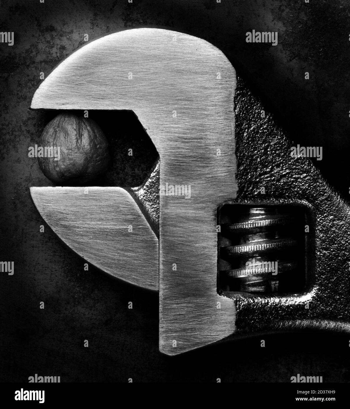 A spanner gripping a nut of a different sort. A quirky fine art image ...