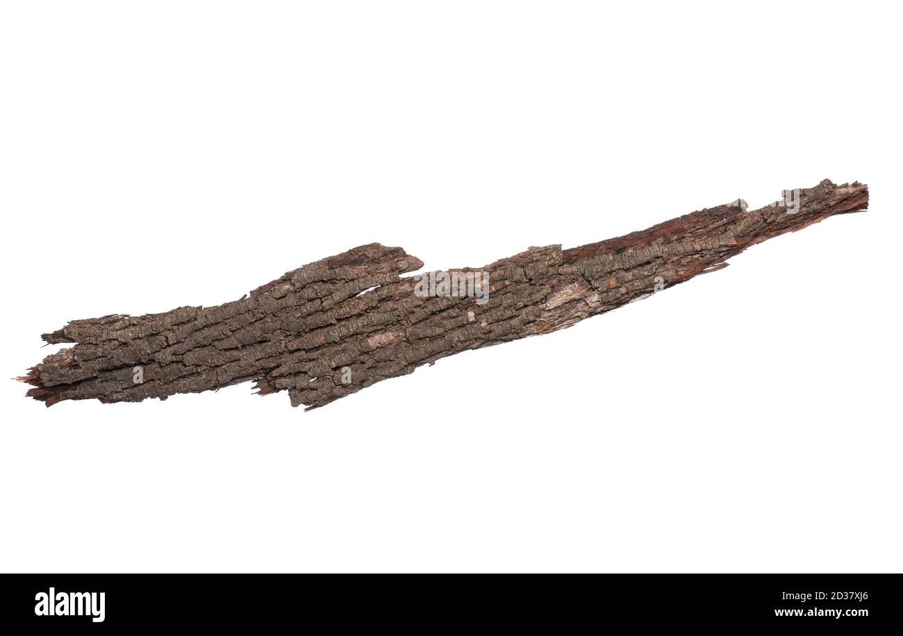 Bark texture close up Cut Out Stock Images & Pictures - Alamy