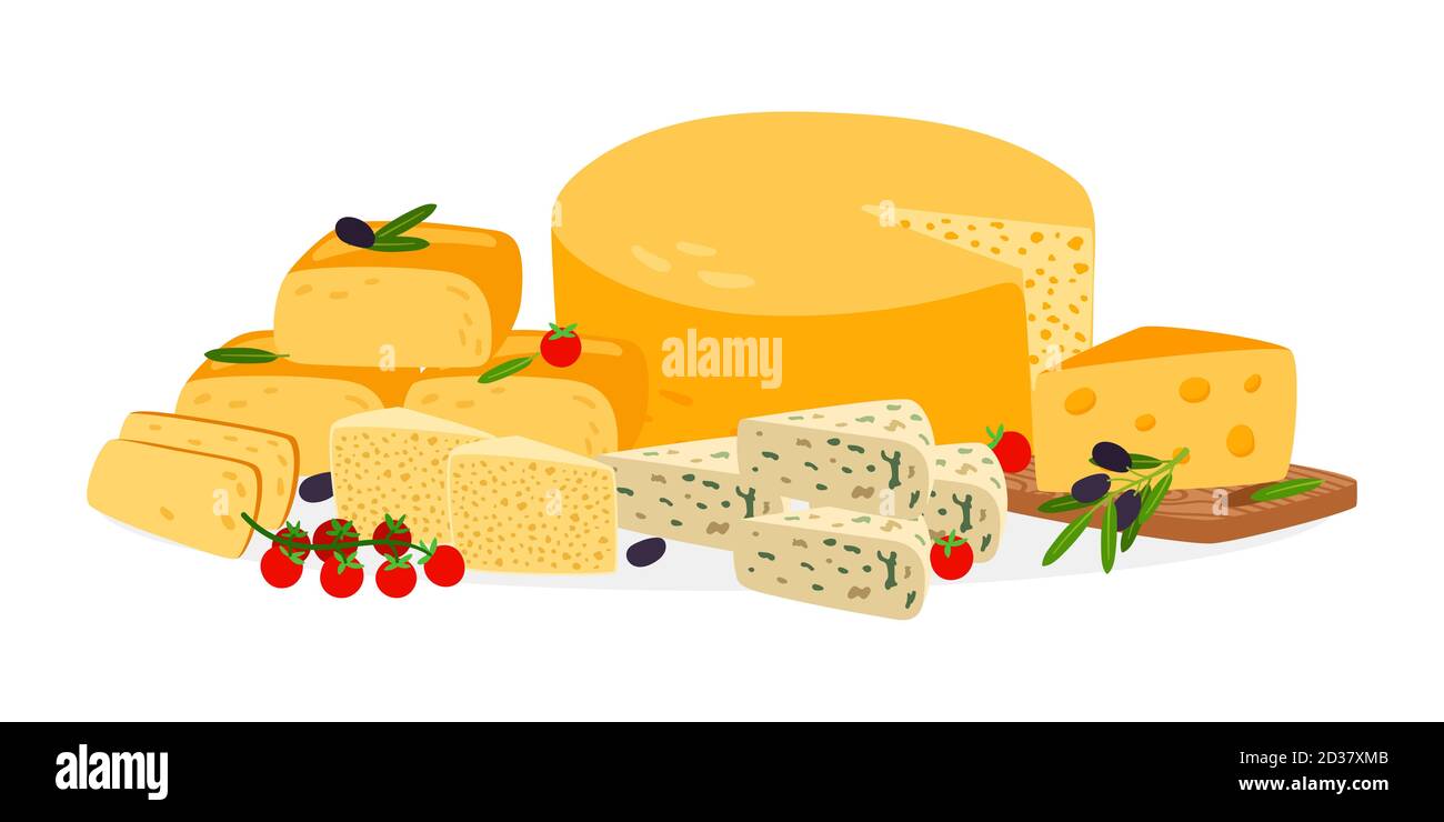 Farm cheese vector. Different cheese types vector illustration Stock ...