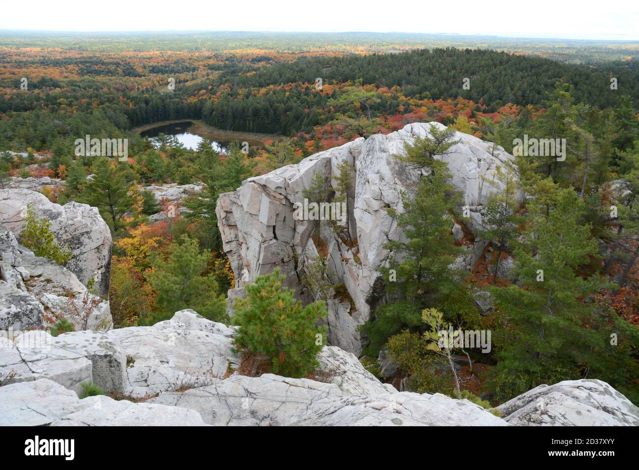 The view of autumn tree colours and quartzite rocks from the top of The ...