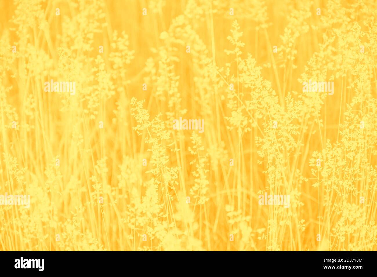 Yellow and mustard color abstract background with grass pattern Stock ...