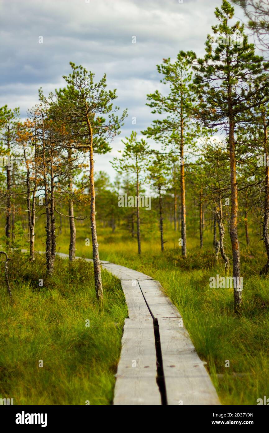 Duckboard duckboards hi-res stock photography and images - Alamy