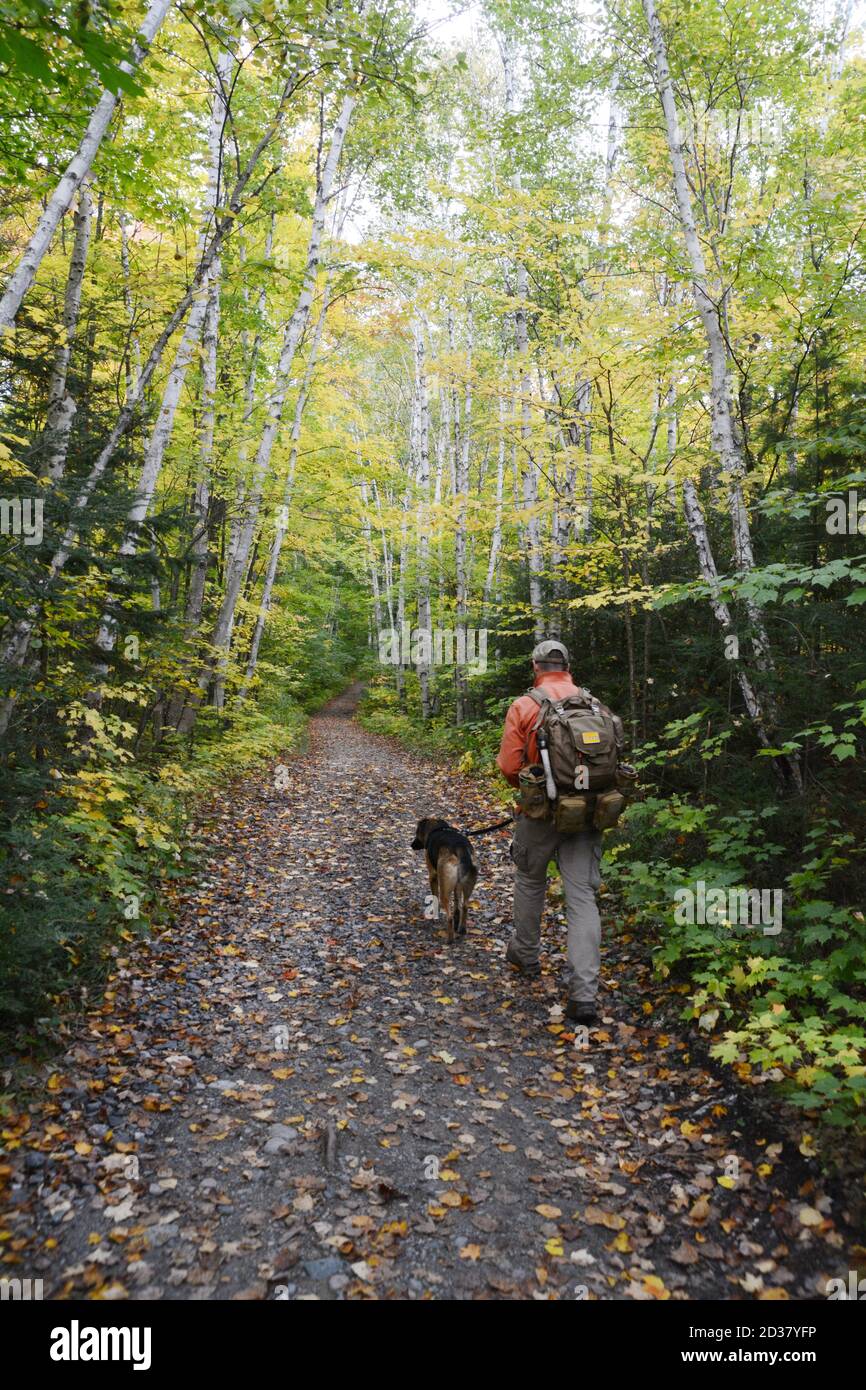A man walks his dog through the autumn tree colours on The Crack Trail ...