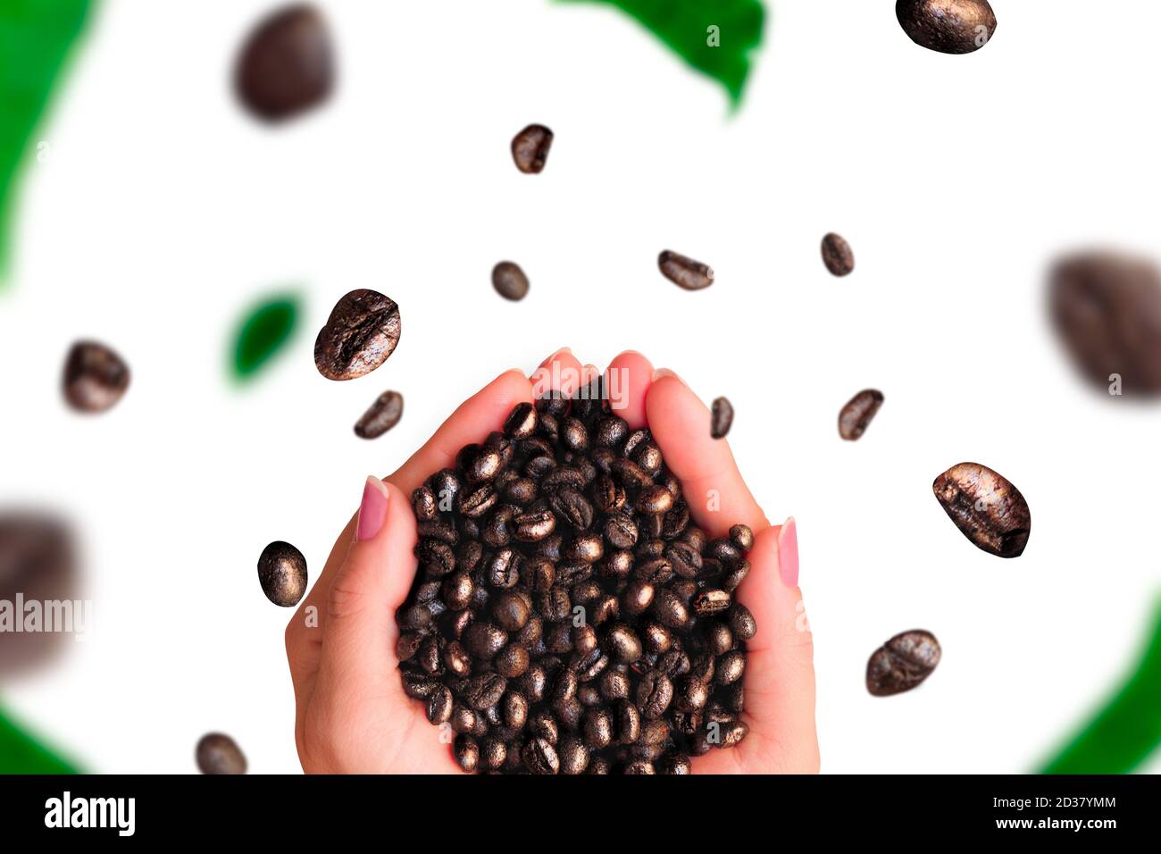 Women's hands dropping coffee on white background with levitating ...