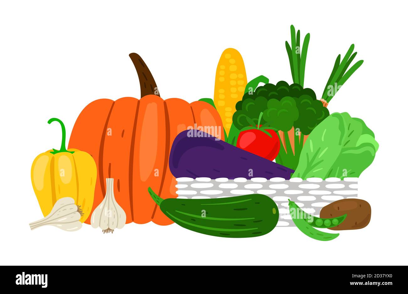 Fresh harvesting cabbage Stock Vector Images - Alamy