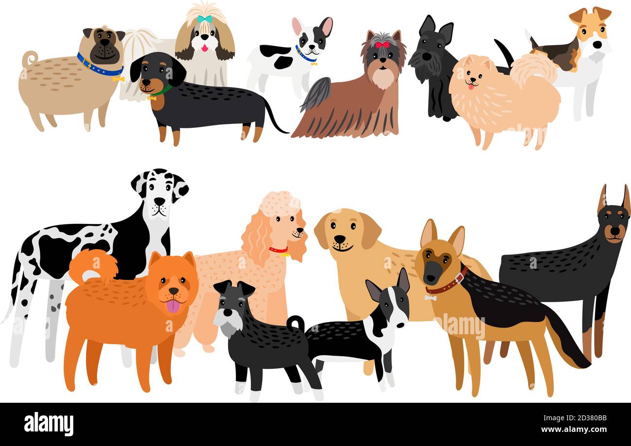 Different dogs breeds image. Vector cartoon group of dogs, cute ...