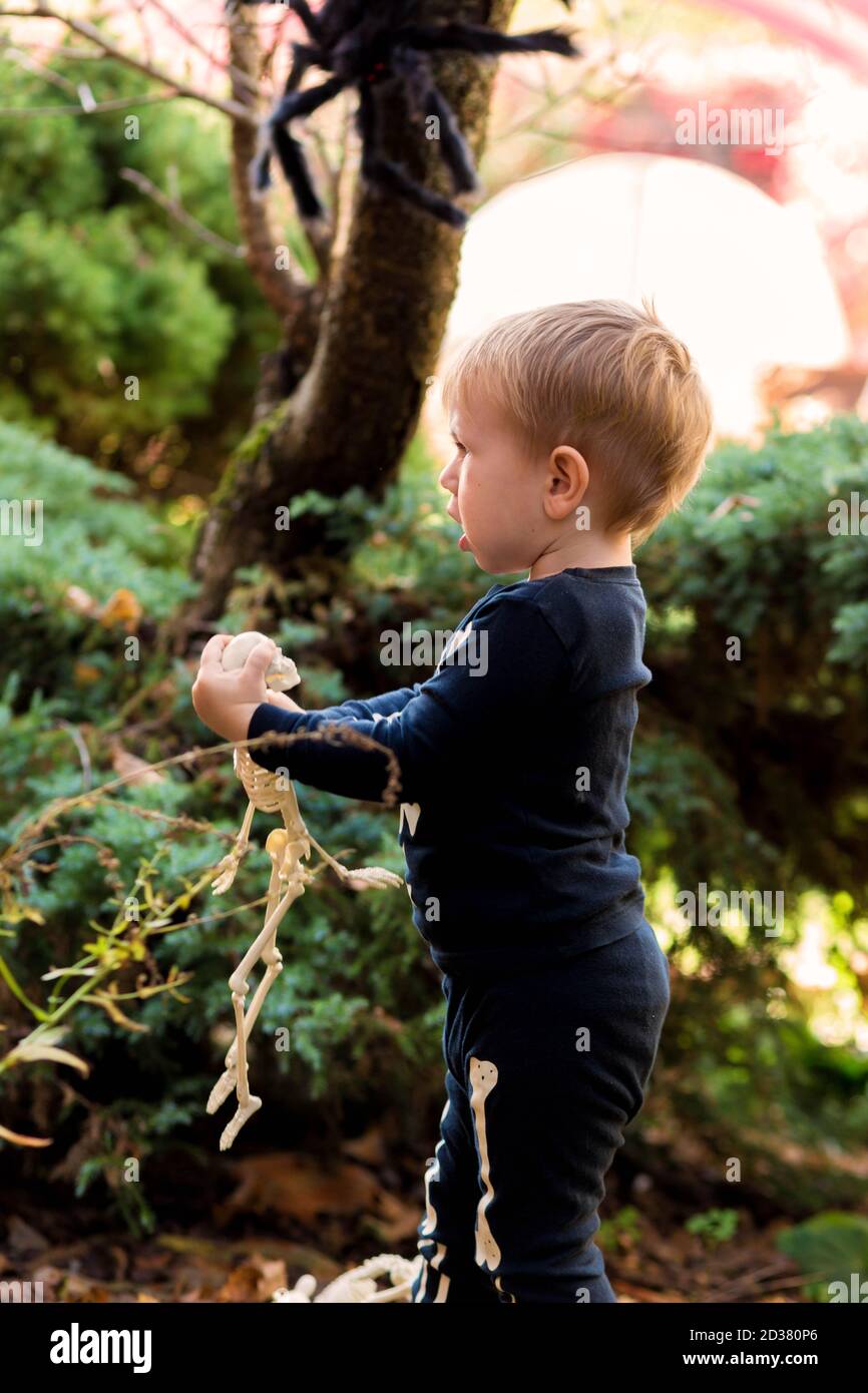 Little boy in a skeleton costume holding a skeleton on a halloween ...