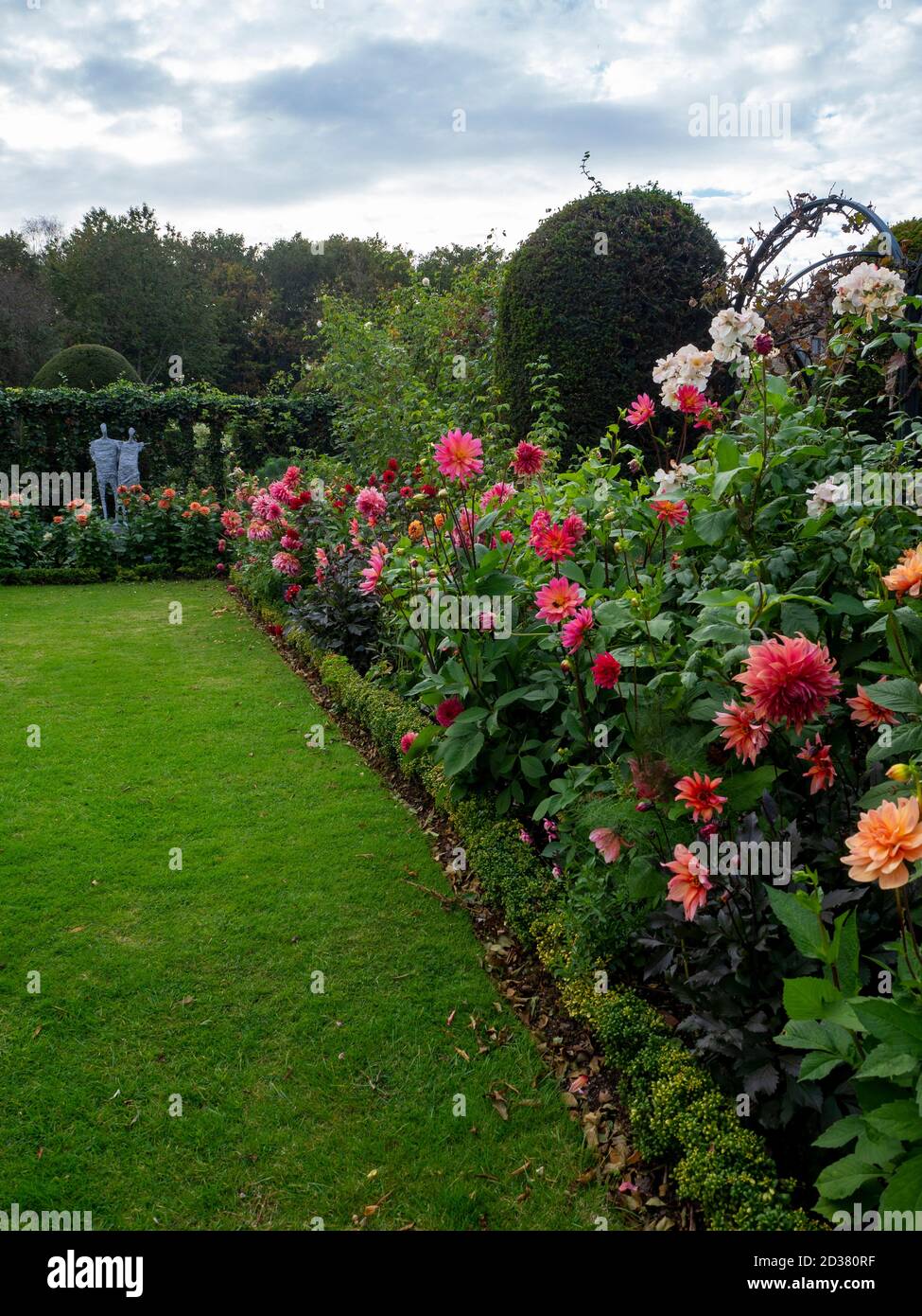 Chenies Manor garden in September. Dahlia varieties including,"Mr Frans ...