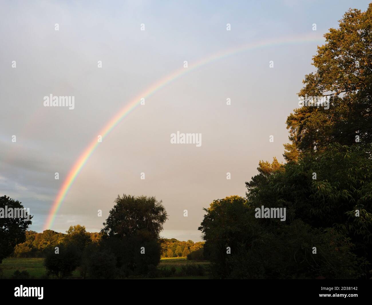Rainbow appearing through the trees in the English countryside ...