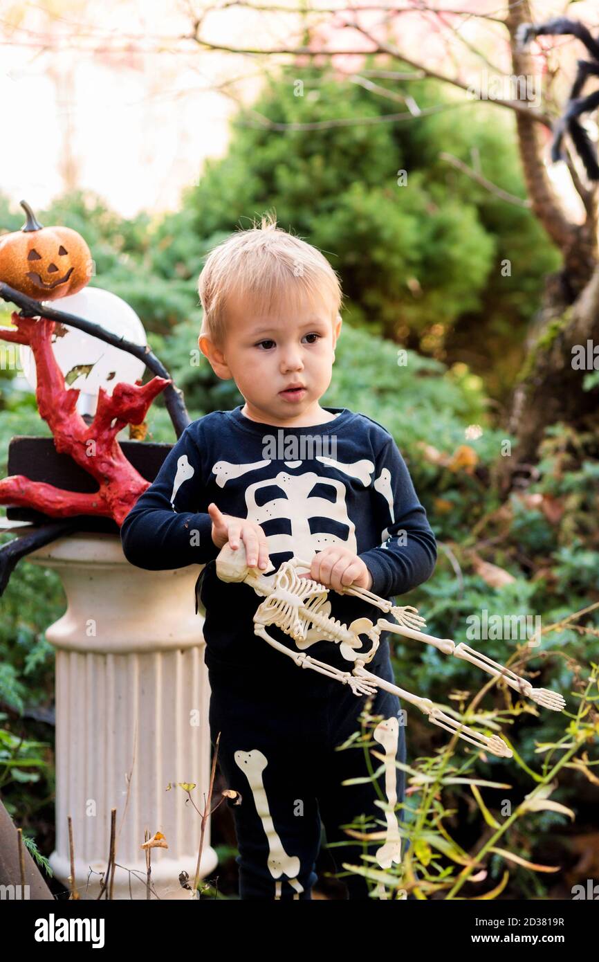 Little boy in a skeleton costume holding a skeleton on a halloween ...