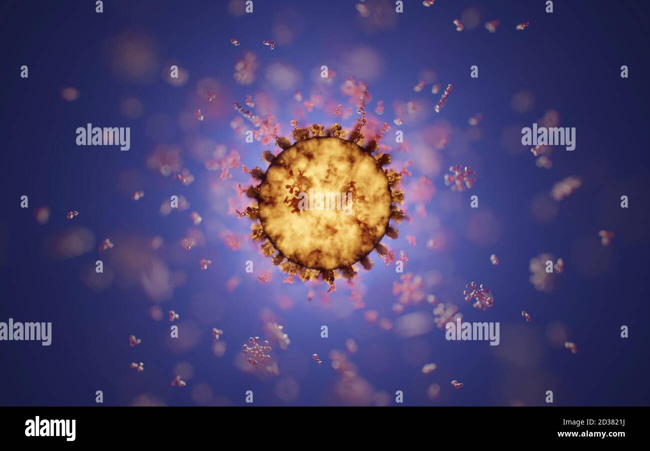 Cluster of human antibodies hi-res stock photography and images - Alamy