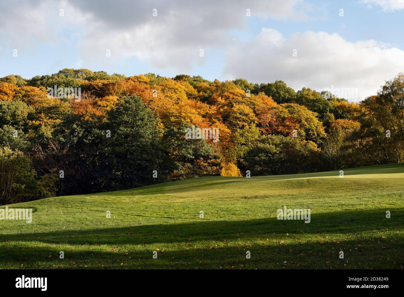 Autumnal tree scene, Beauchief golf course, Sheffield England UK Stock ...