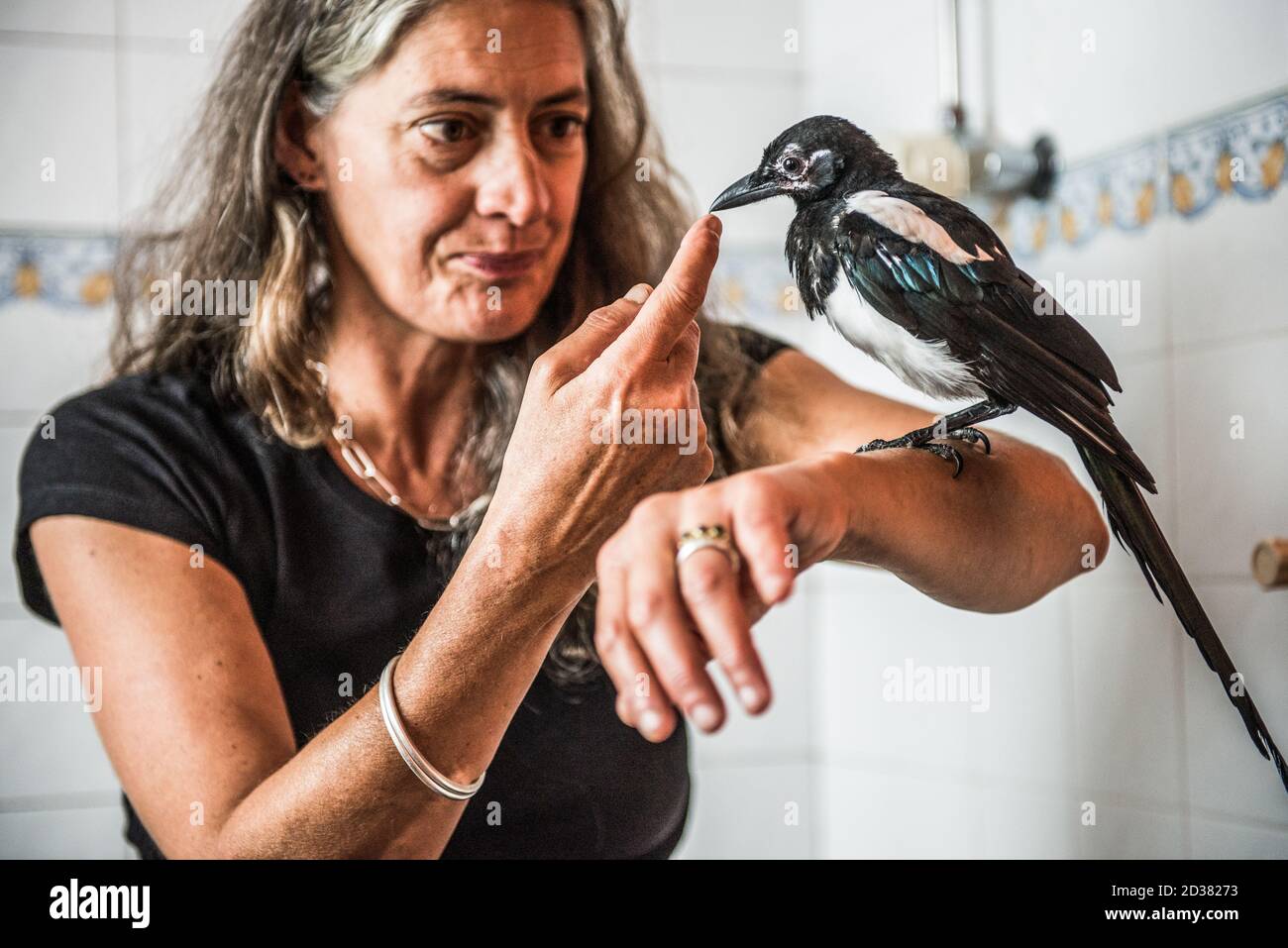Interaction between bird and woman hi-res stock photography and images ...