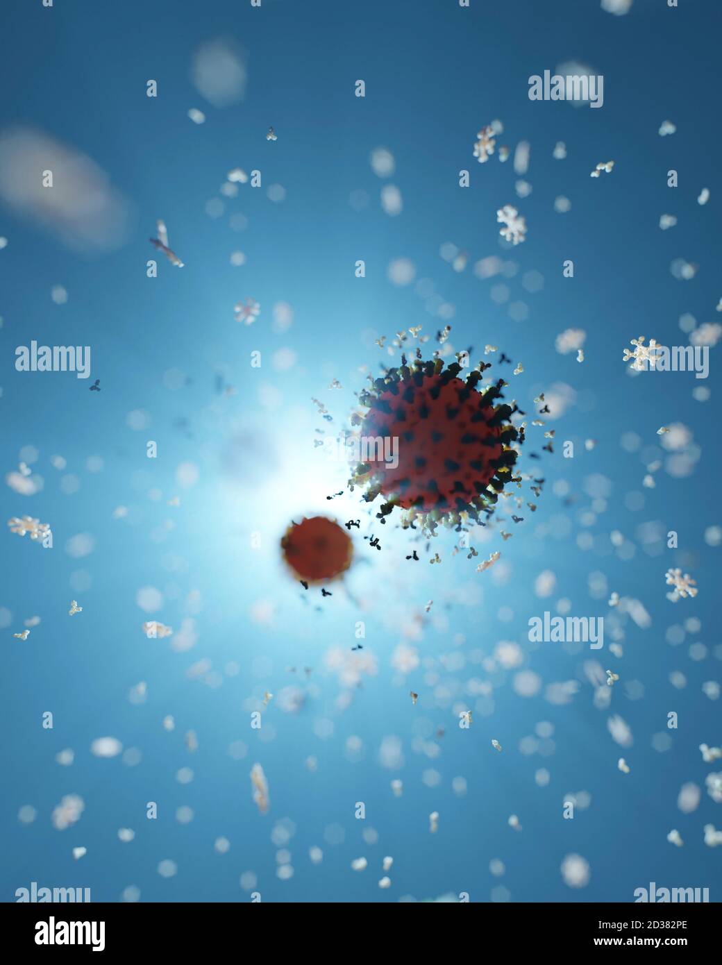 Cluster of human antibodies hi-res stock photography and images - Alamy