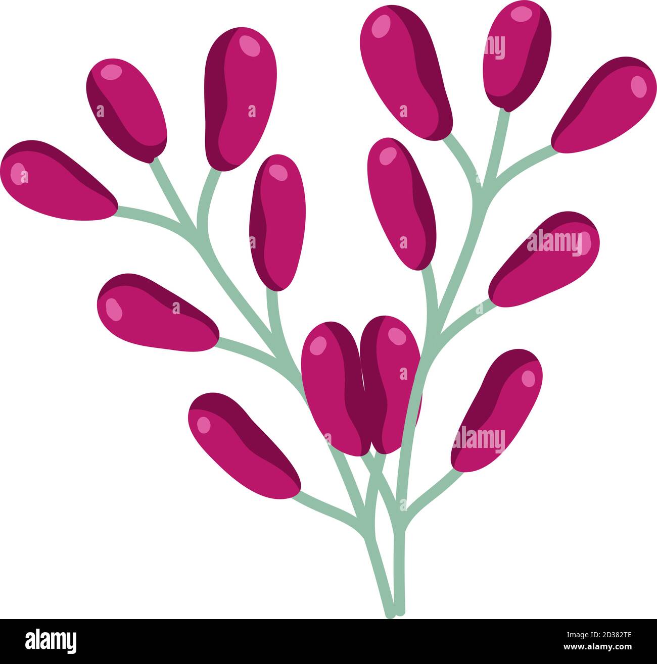 branch berries fruits nature icon isolated design vector illustration ...