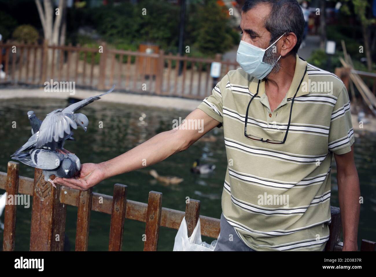 Man wearing pigeon mask new hi-res stock photography and images - Alamy