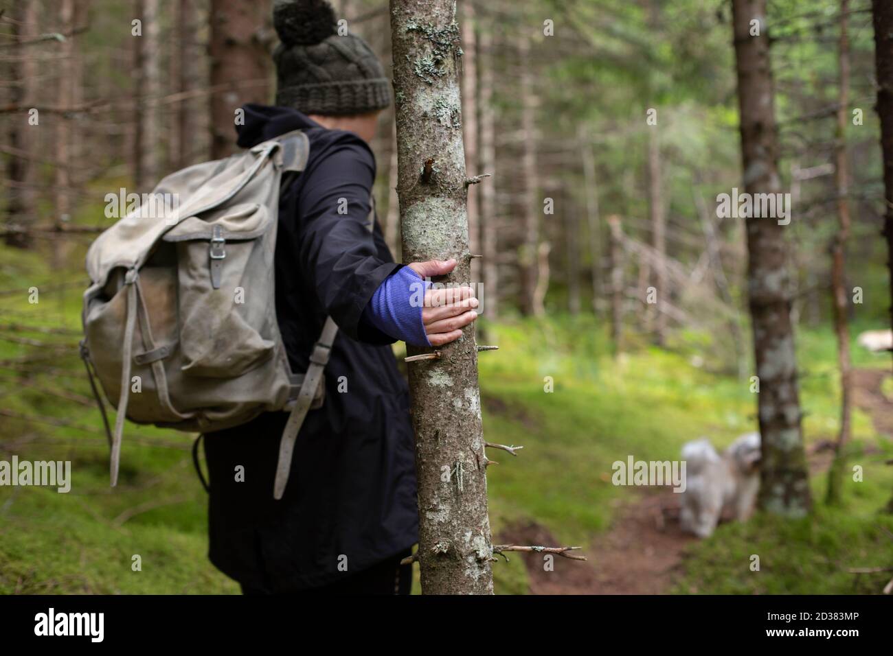 Girl holding onto tree hi-res stock photography and images - Alamy