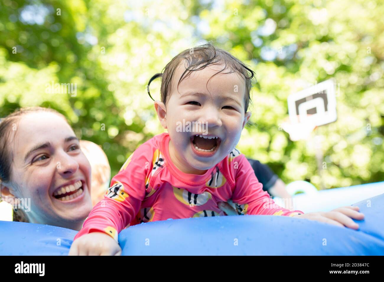 Summertime backyard swimming pool hi-res stock photography and images ...