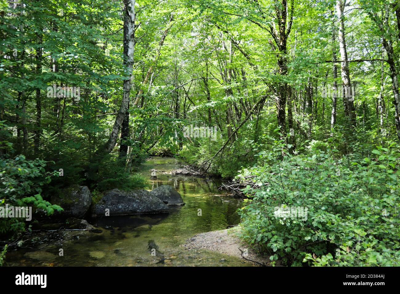River cuts through forest hi-res stock photography and images - Alamy