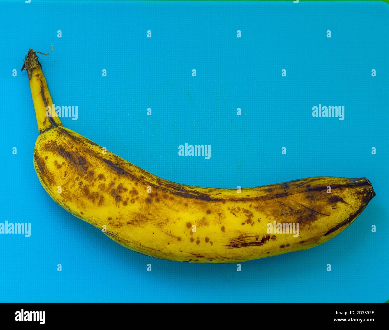 Single over ripe banana with a blue background Stock Photo - Alamy