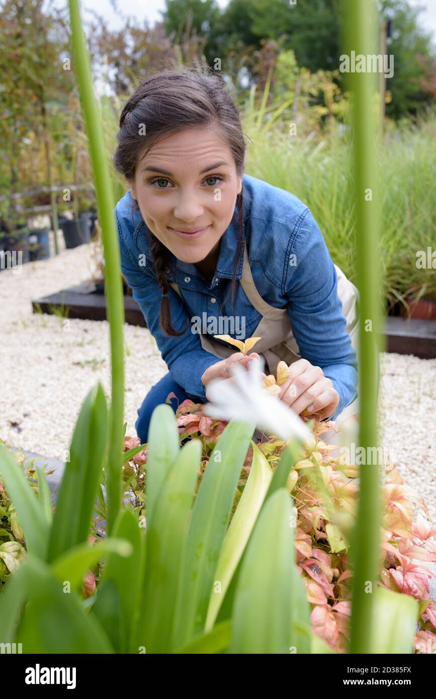 woman gardening in backyard Stock Photo - Alamy