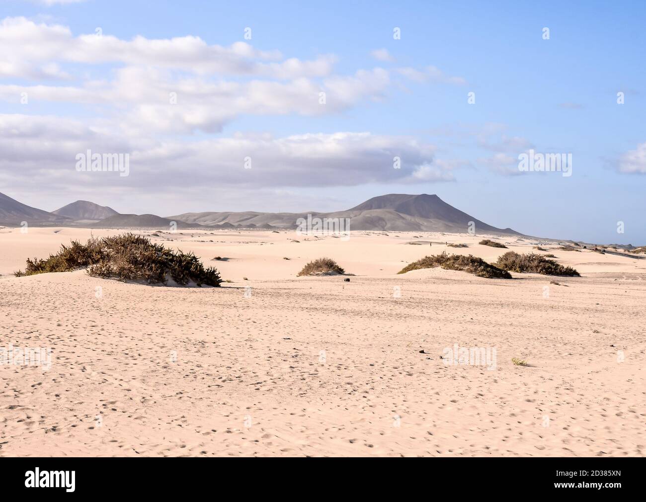 Dry Desert Landscape Stock Photo - Alamy