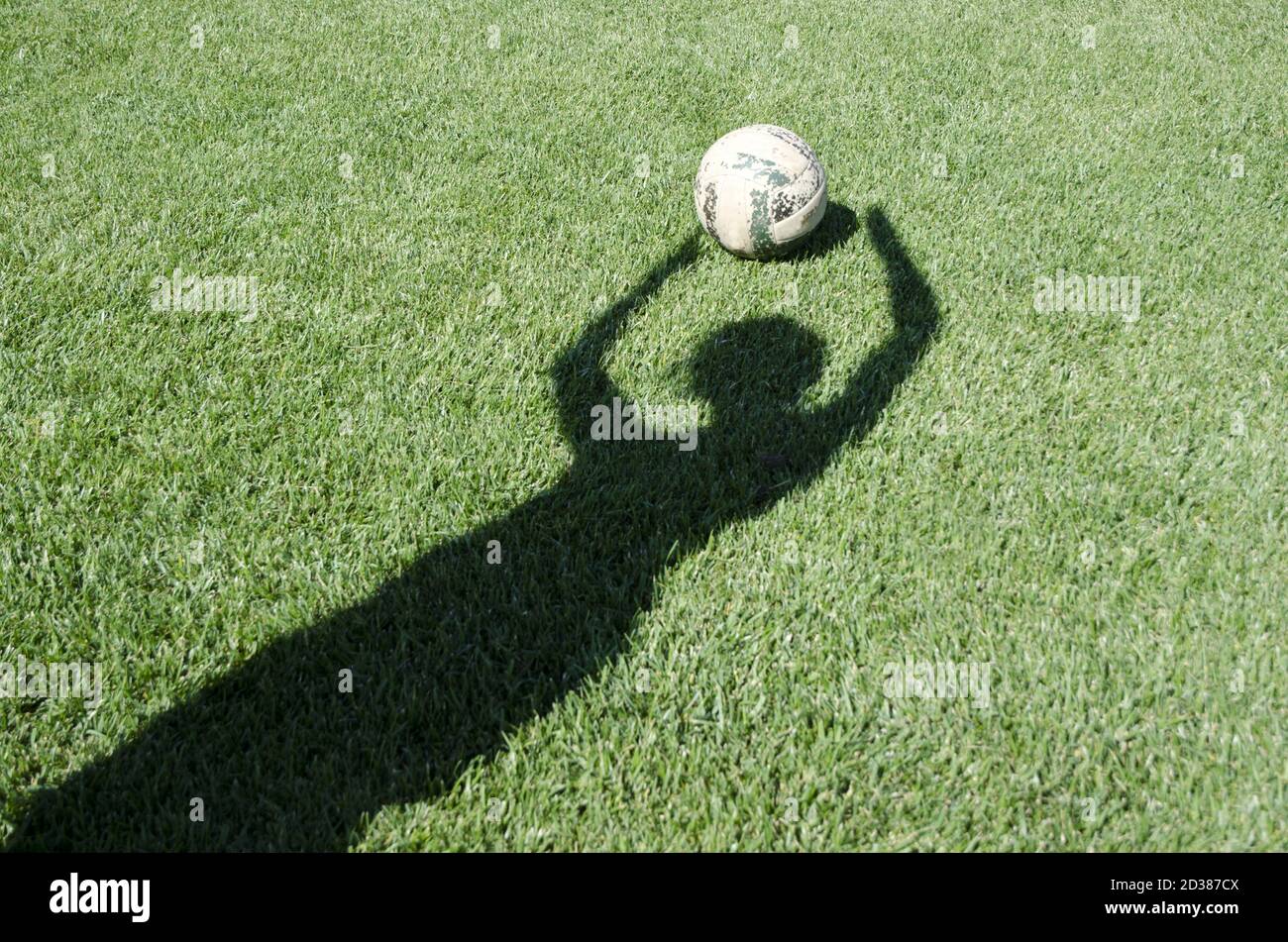 Shadow Playing Football on the Green Grass Stock Photo - Alamy