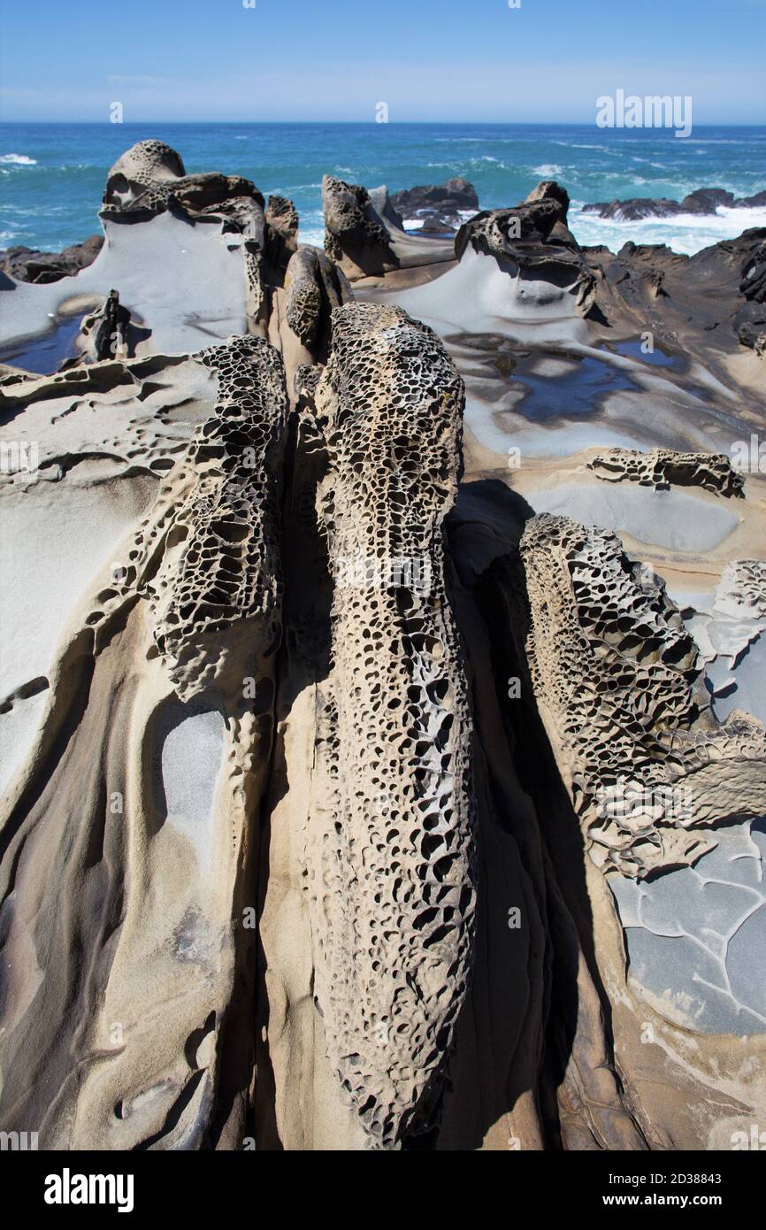 Salt point park hi-res stock photography and images - Alamy