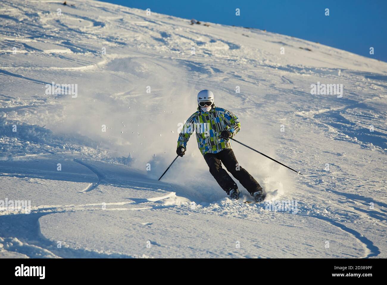 Skiing in fresh powder snow Stock Photo - Alamy