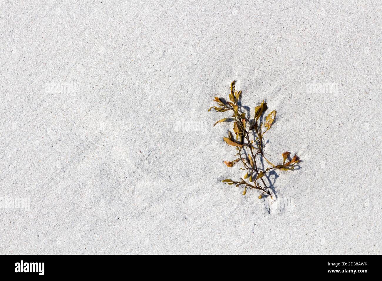 Objects on beach sand Stock Photo - Alamy
