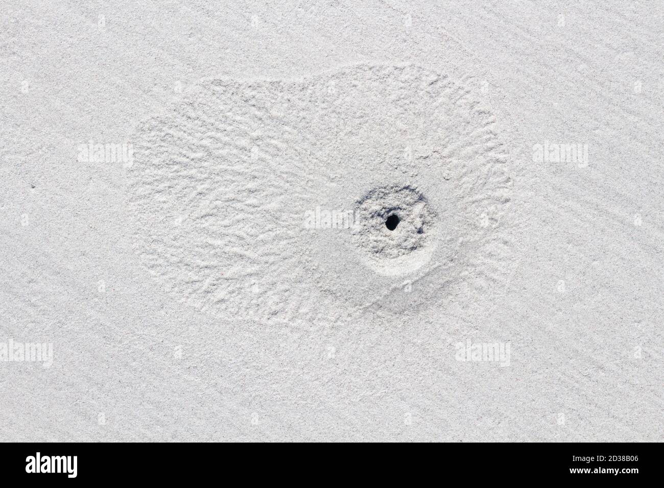 Objects on beach sand Stock Photo - Alamy