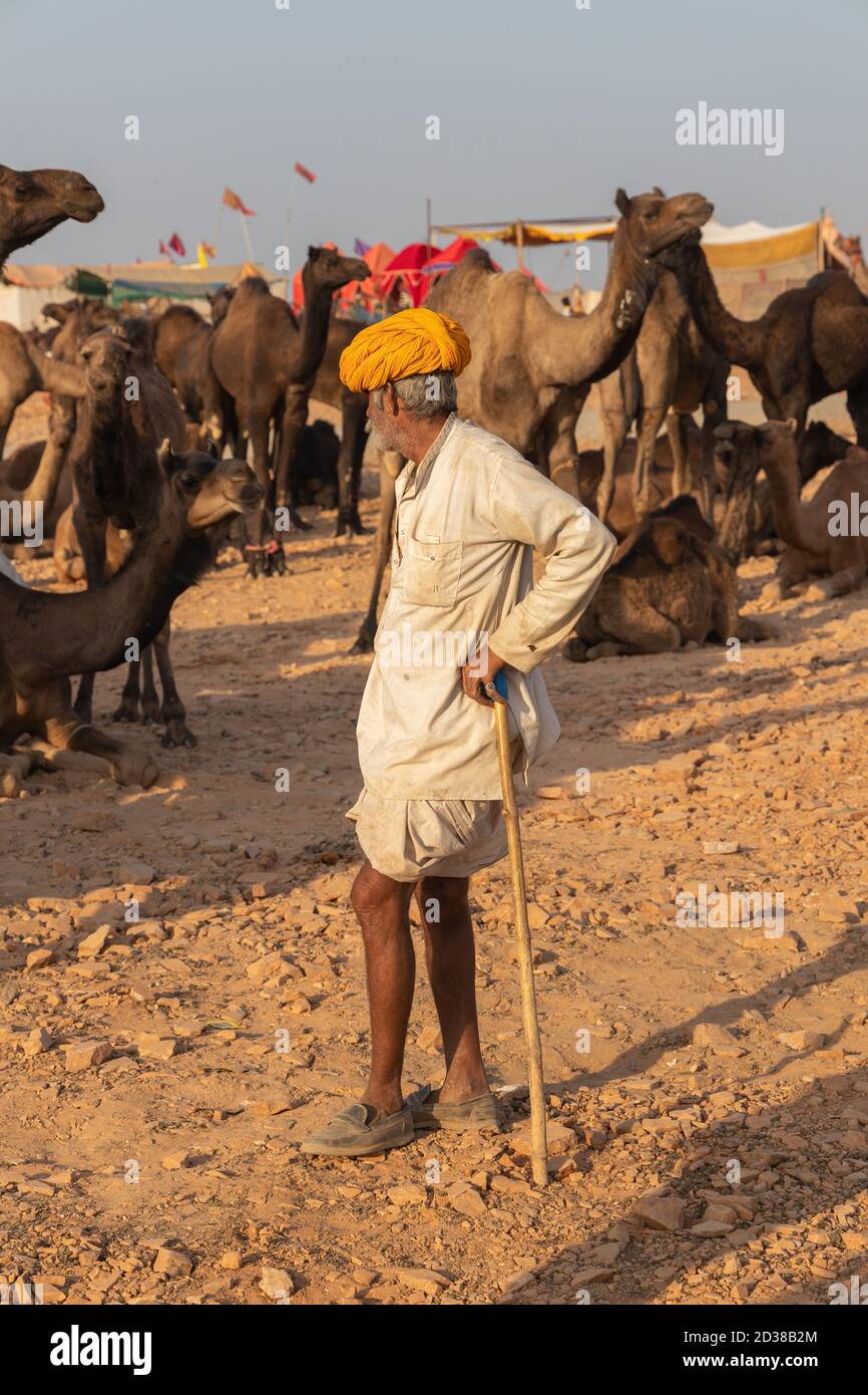 Desert with camel herders hi-res stock photography and images - Alamy