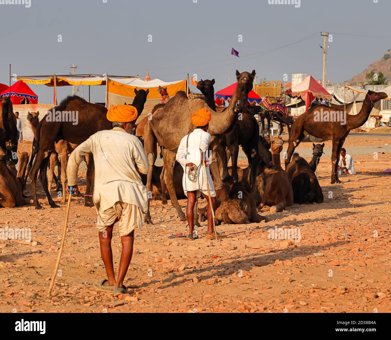 Camel with clothes hi-res stock photography and images - Alamy