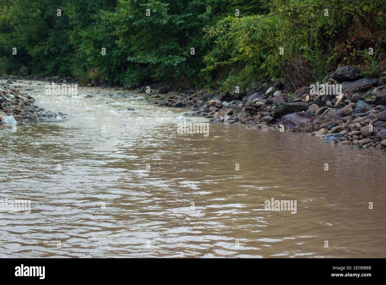 Dark soil amazon basin hi-res stock photography and images - Alamy