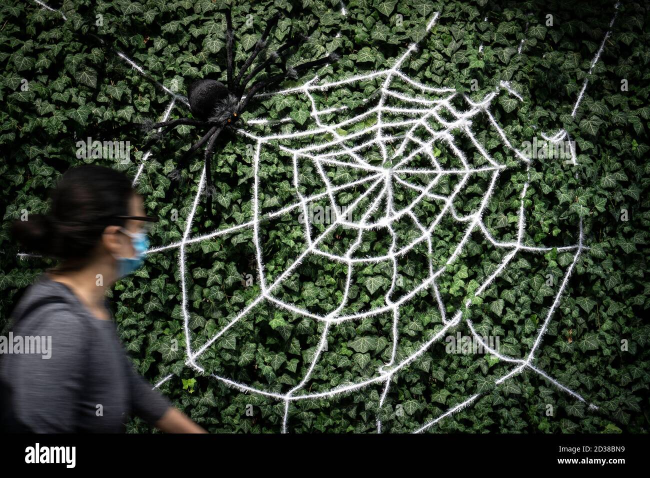 Hedge spider hi-res stock photography and images - Alamy