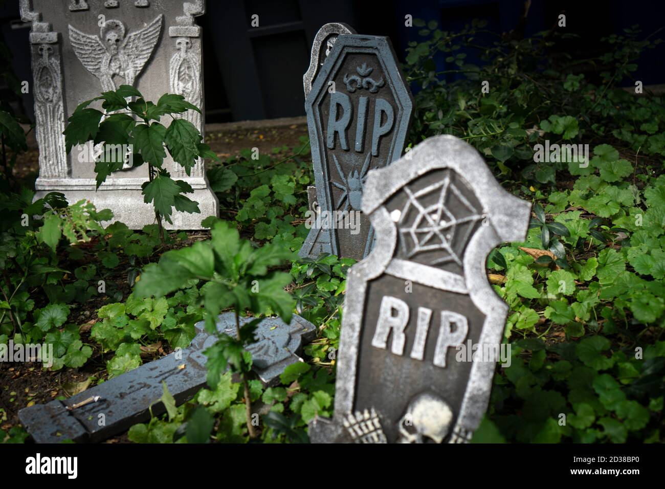 Skeleton halloween grave rip hi-res stock photography and images - Alamy