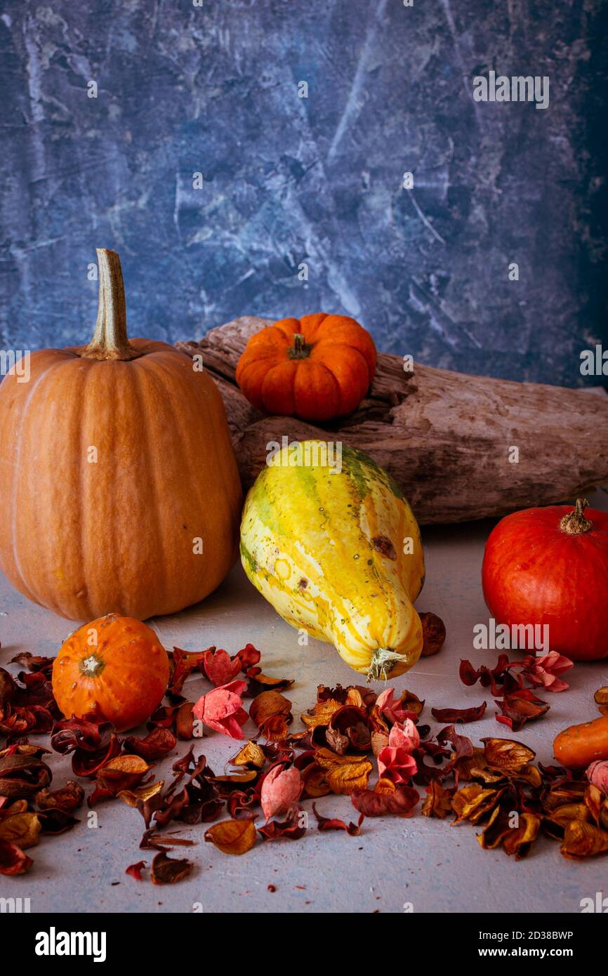 Vertical shot of various squashes Stock Photo - Alamy