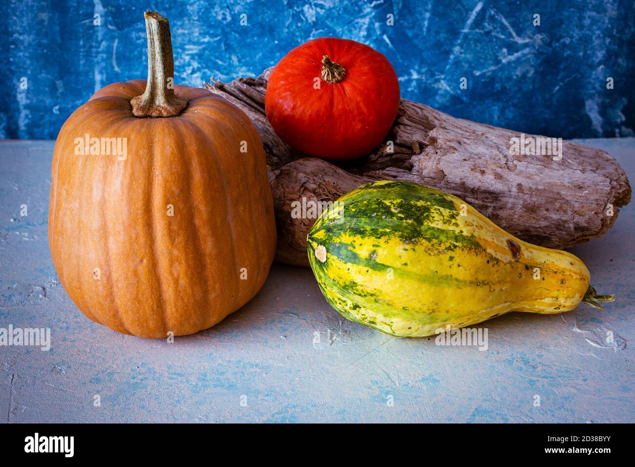 High angle shot of various squashes Stock Photo - Alamy