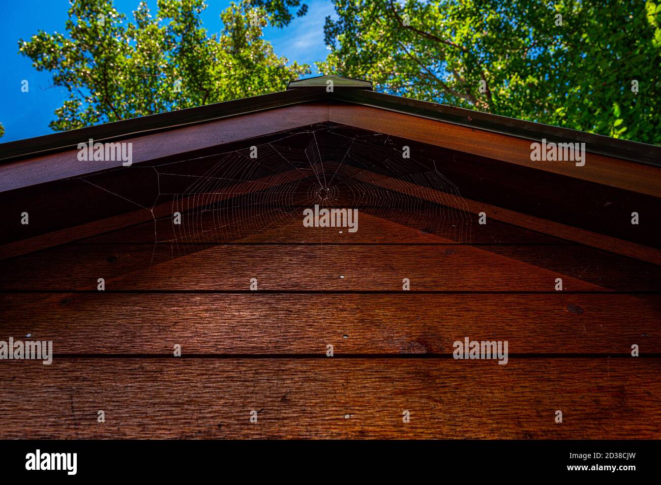 Spider web under the roof Stock Photo - Alamy