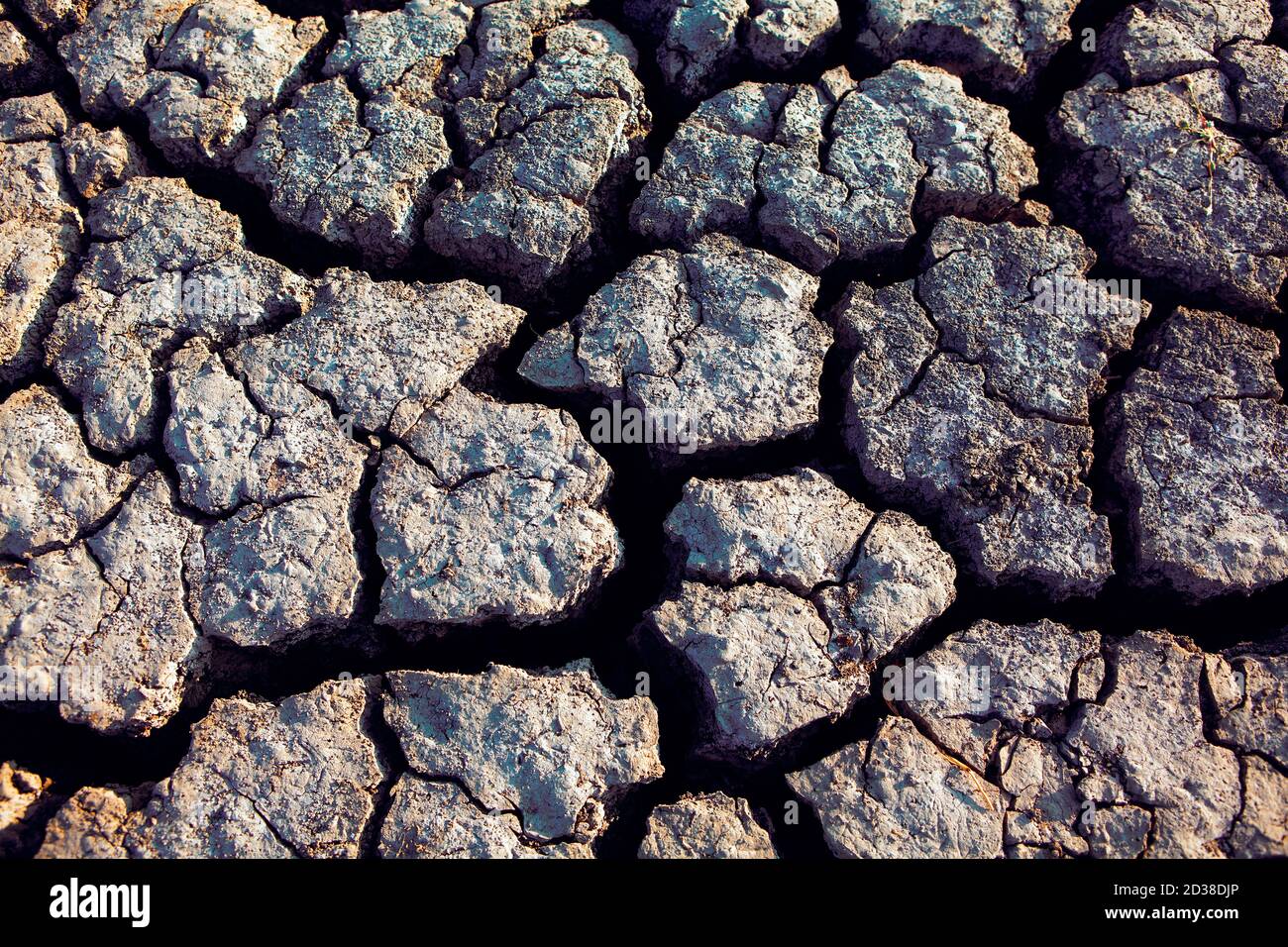 drought soil with deep cracks Stock Photo - Alamy
