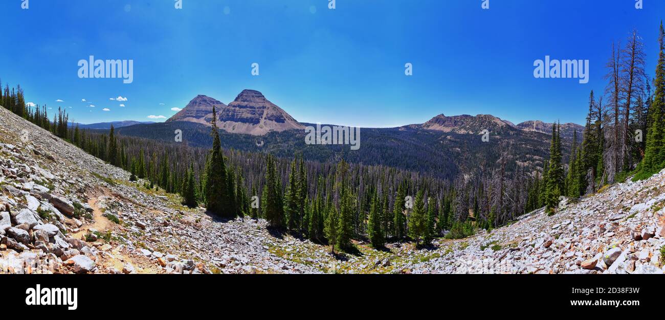 Lake Cuberant hiking trail views of ponds, forest and meadows with Bald ...