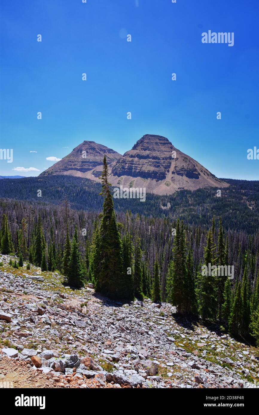 Lake Cuberant hiking trail views of ponds, forest and meadows with Bald ...