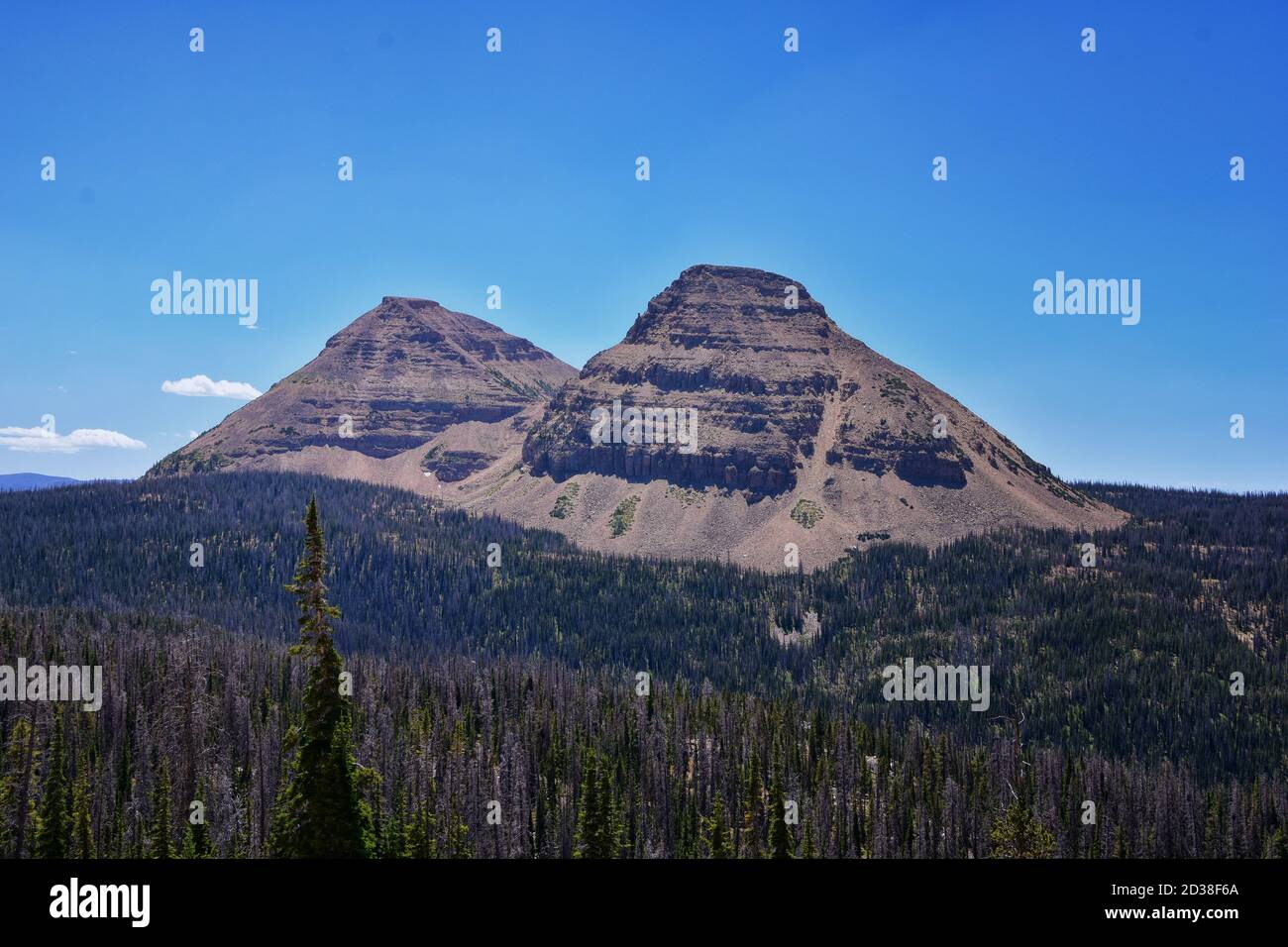 Lake Cuberant hiking trail views of ponds, forest and meadows with Bald ...