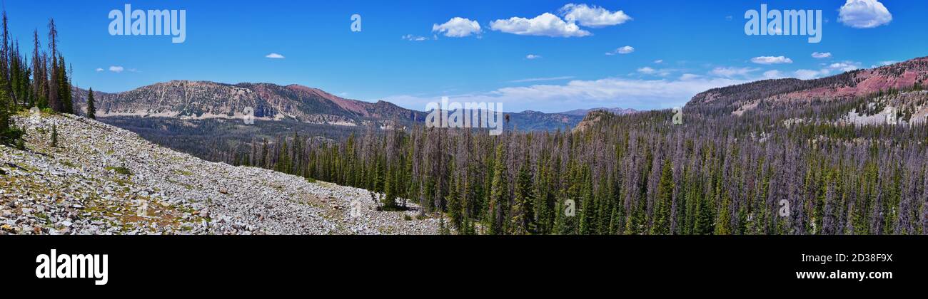 Lake Cuberant hiking trail views of ponds, forest and meadows with Bald ...