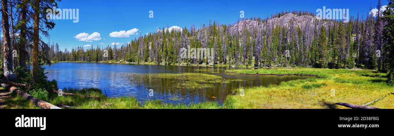 Lake Cuberant hiking trail views of ponds, forest and meadows with Bald ...