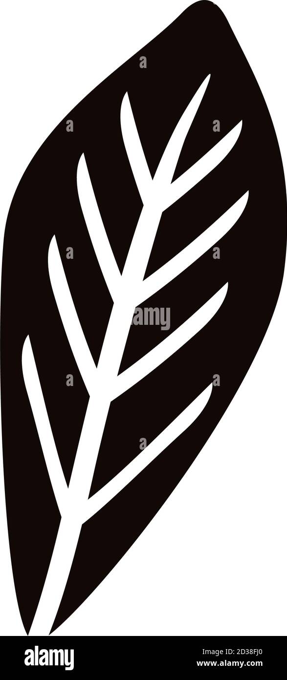 Lanceolate leaf shape Stock Vector Images - Alamy