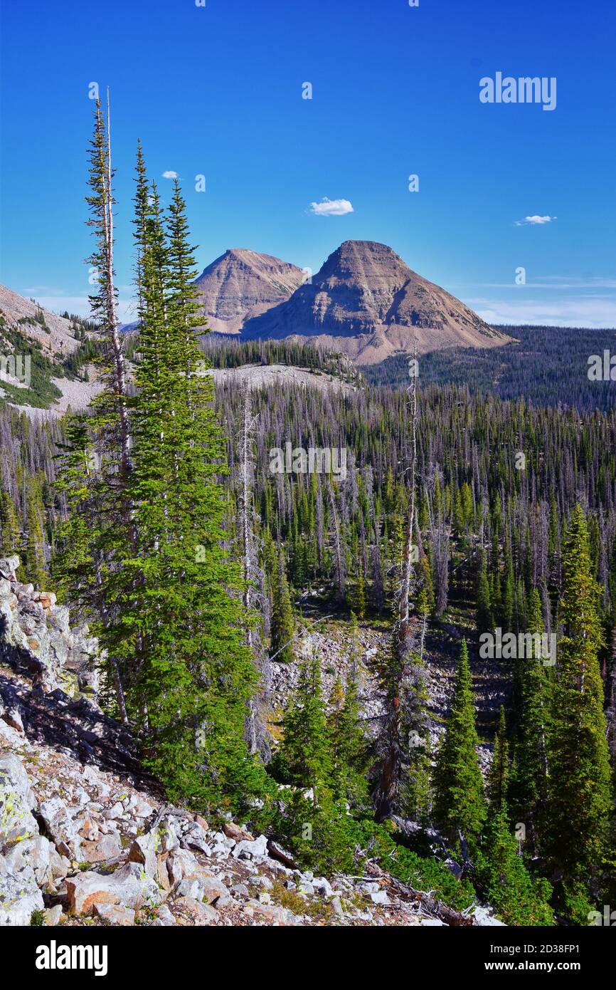 Lake Cuberant hiking trail views of ponds, forest and meadows with Bald ...