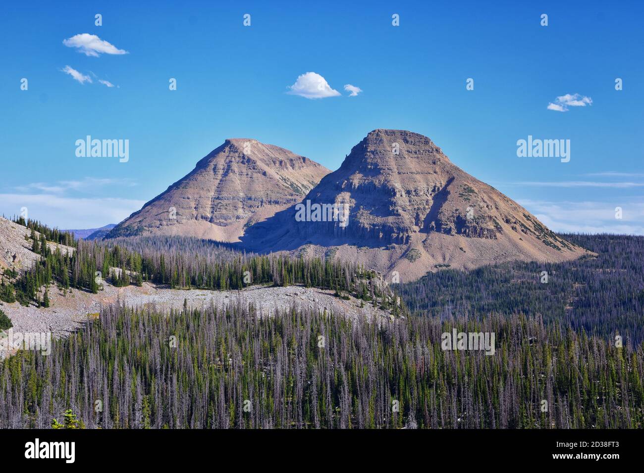 Lake Cuberant hiking trail views of ponds, forest and meadows with Bald ...